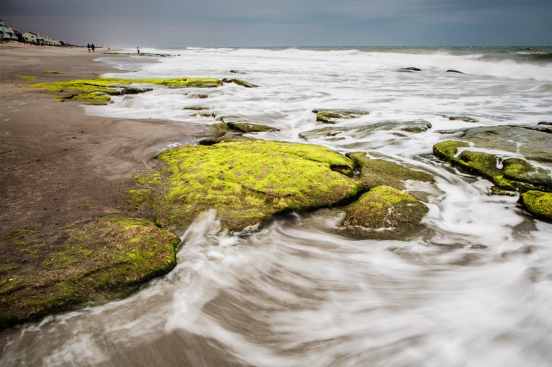 Coquina Rocks – Fort Fisher, North Carolina | Mark Schueler